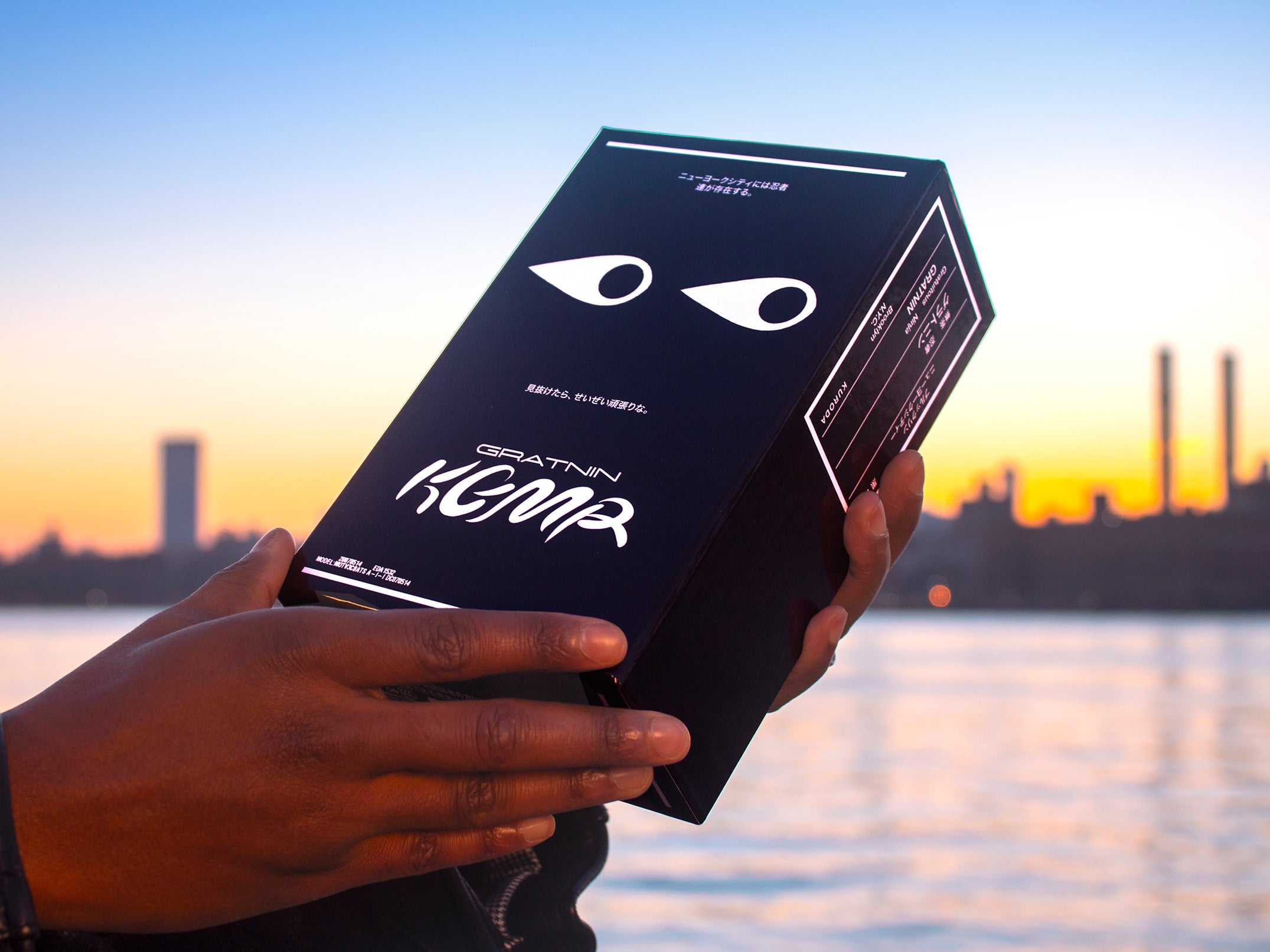 GRATUITOUS NINJA– Beehive Books