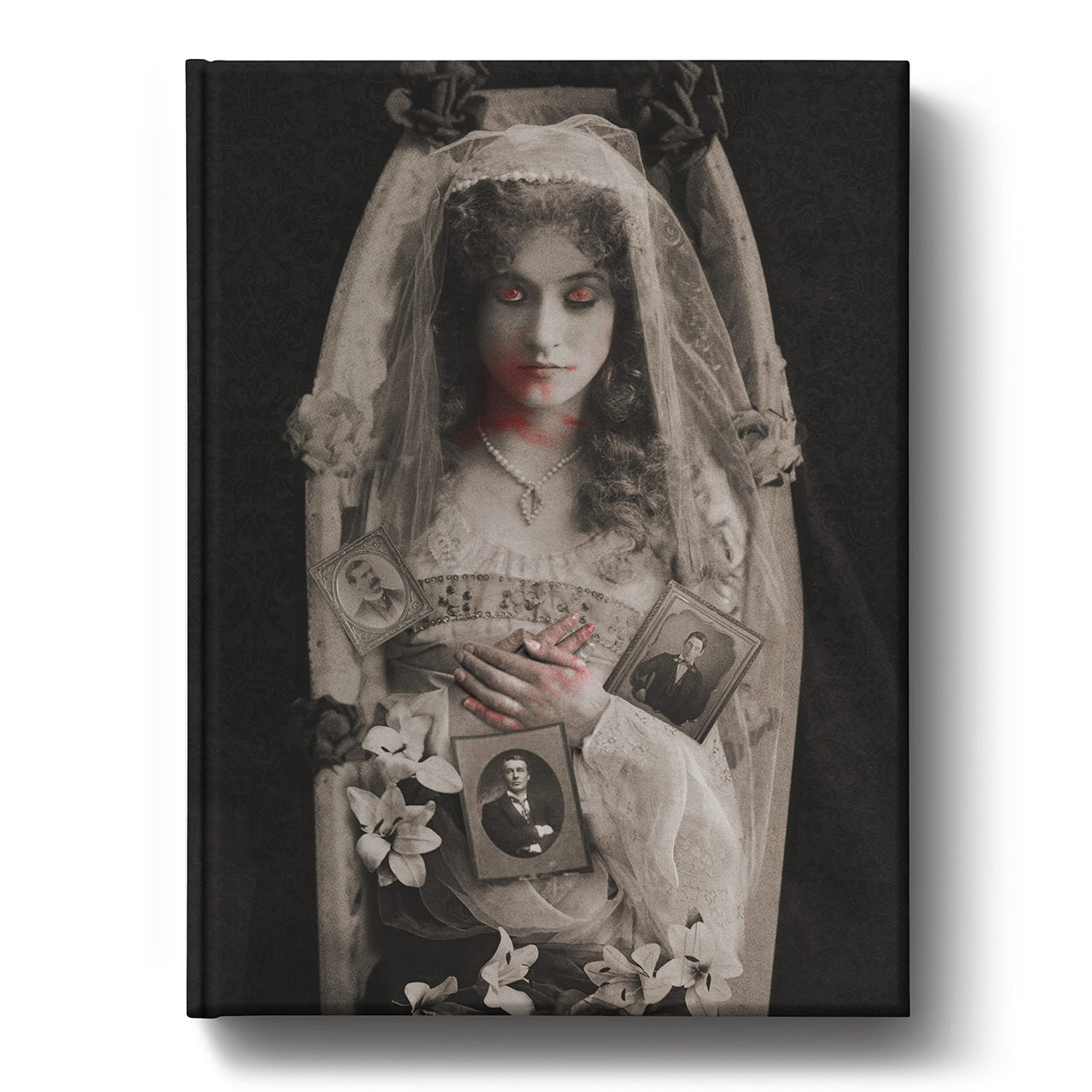 Preorder DRACULA: THE EVIDENCE– Beehive Books